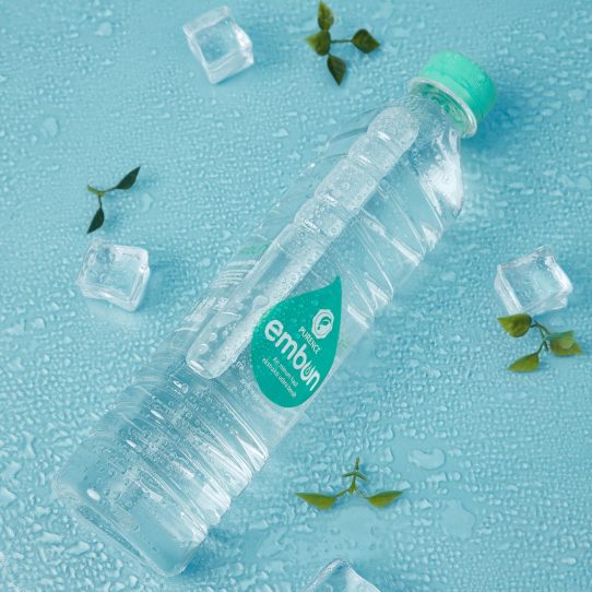 Businesses – Trisula Corporation