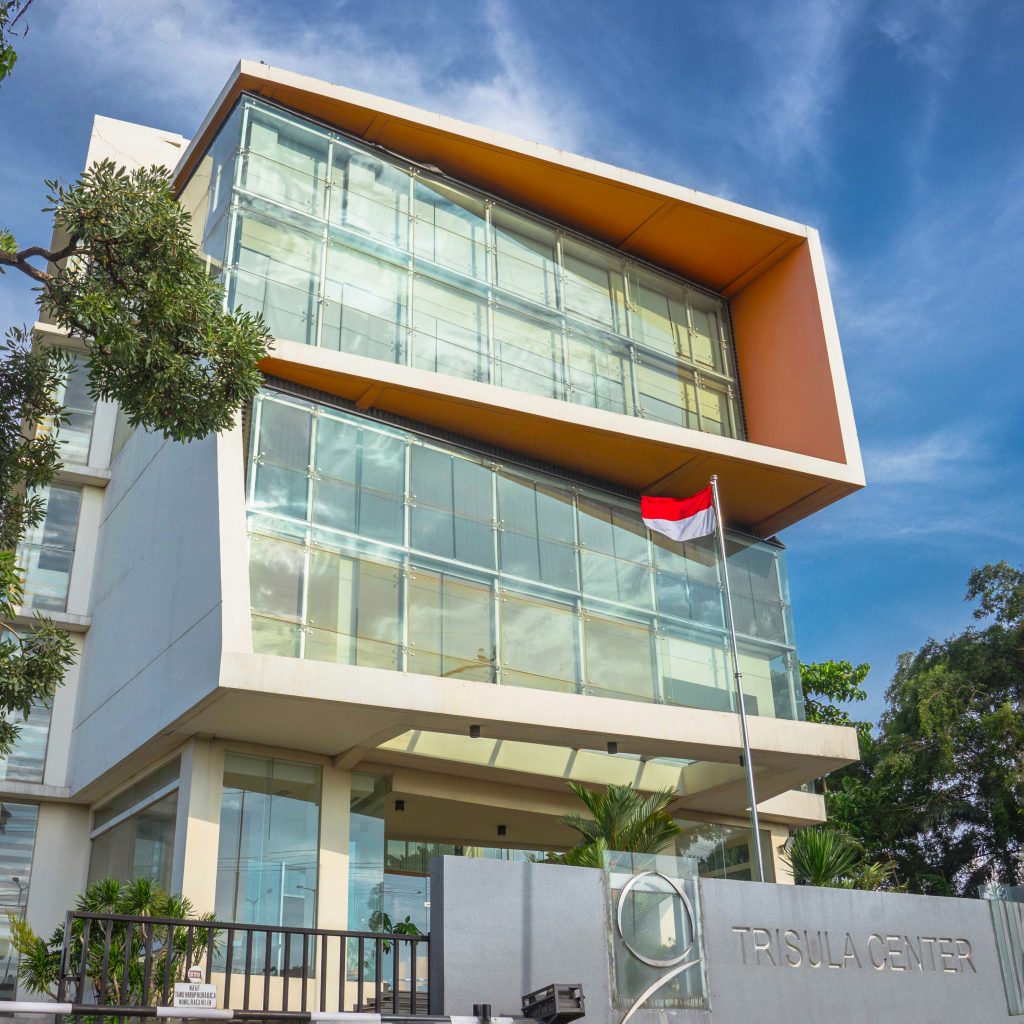 About – Trisula Corporation